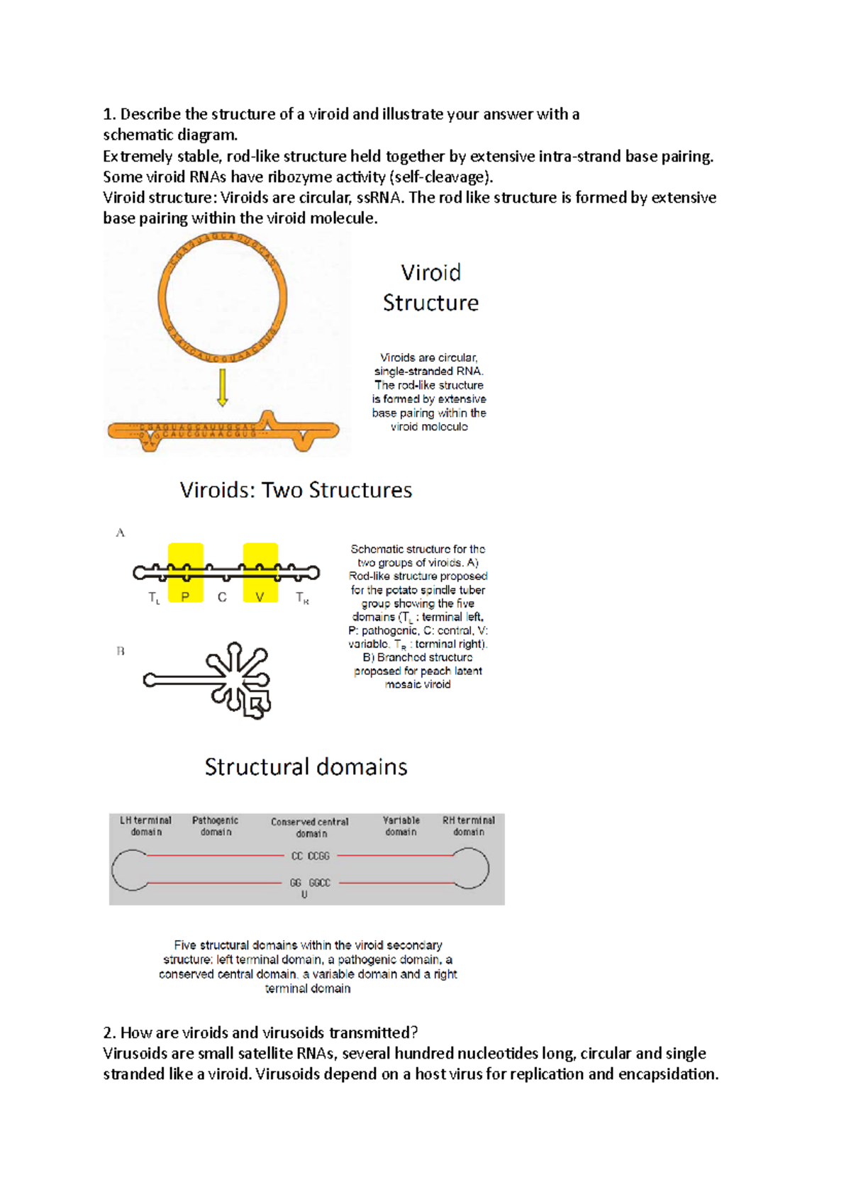 Practical - revision questions on viroids - Describe the structure of a ...