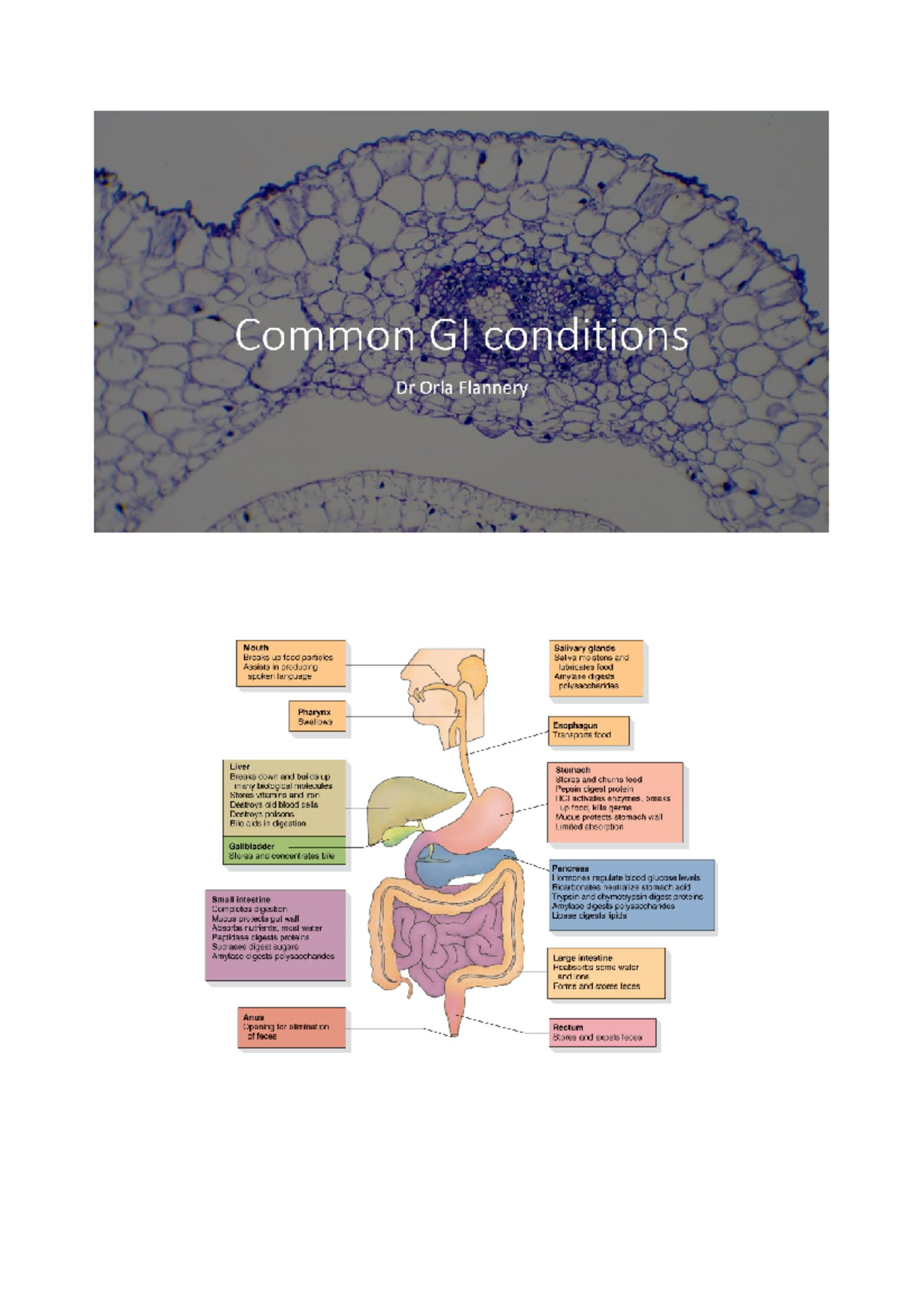 Common GI disorders - nutrition notes - Common GI disorders ...