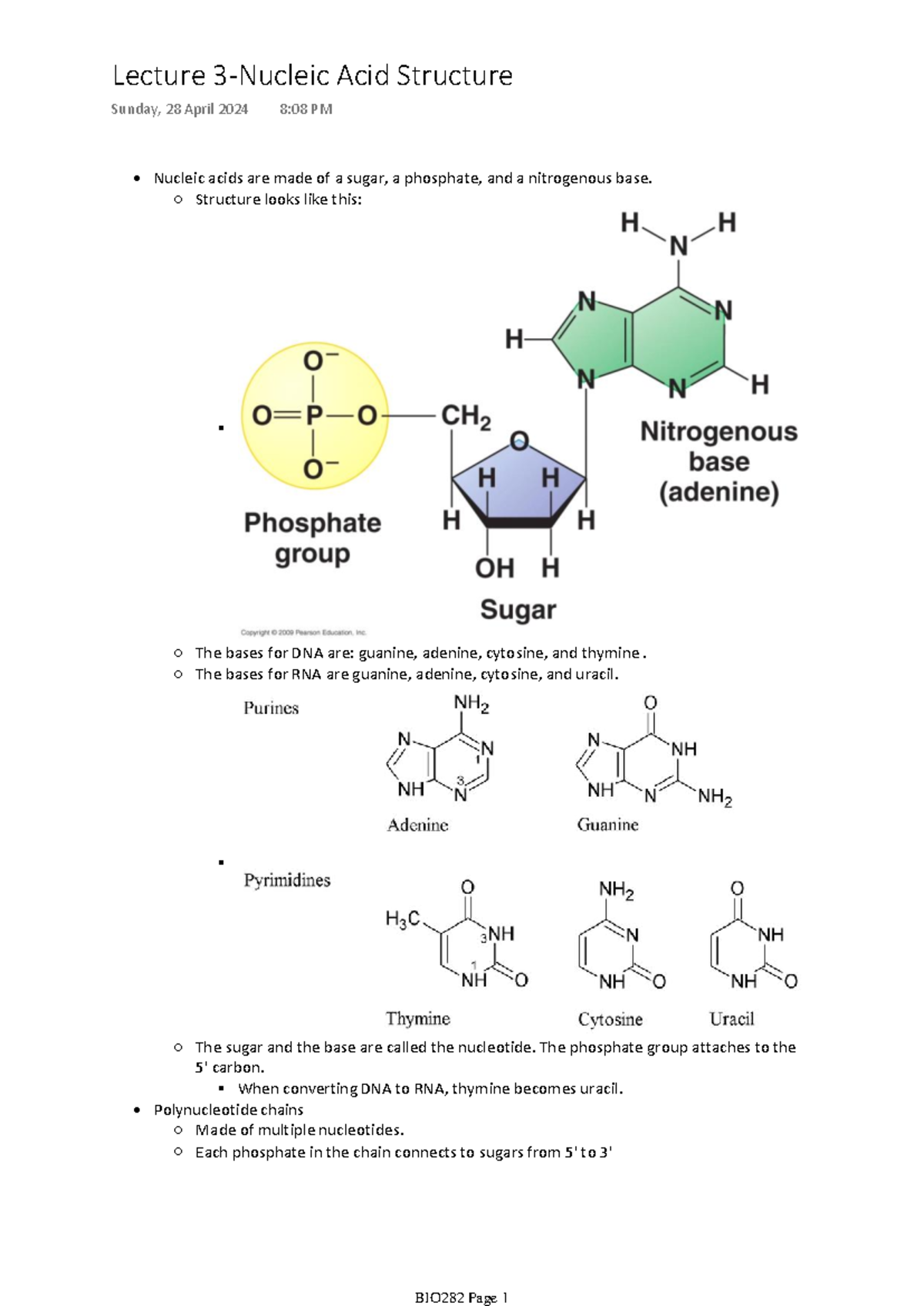 Lecture 3-Nucleic Acid Structure - Nucleic acids are made of a sugar, a ...