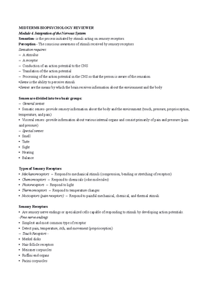 Field Methods(Chapter 4) - 4 - Thematic Analysis - Braun & Clarke ...