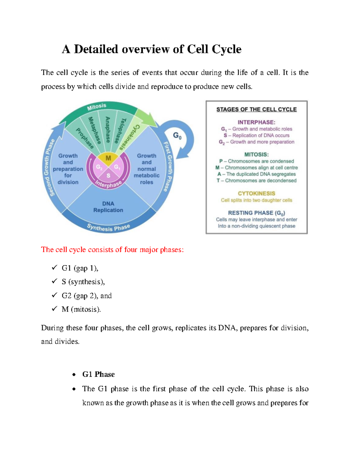 A Detailed overview of Cell Cycle - It is the process by which cells ...