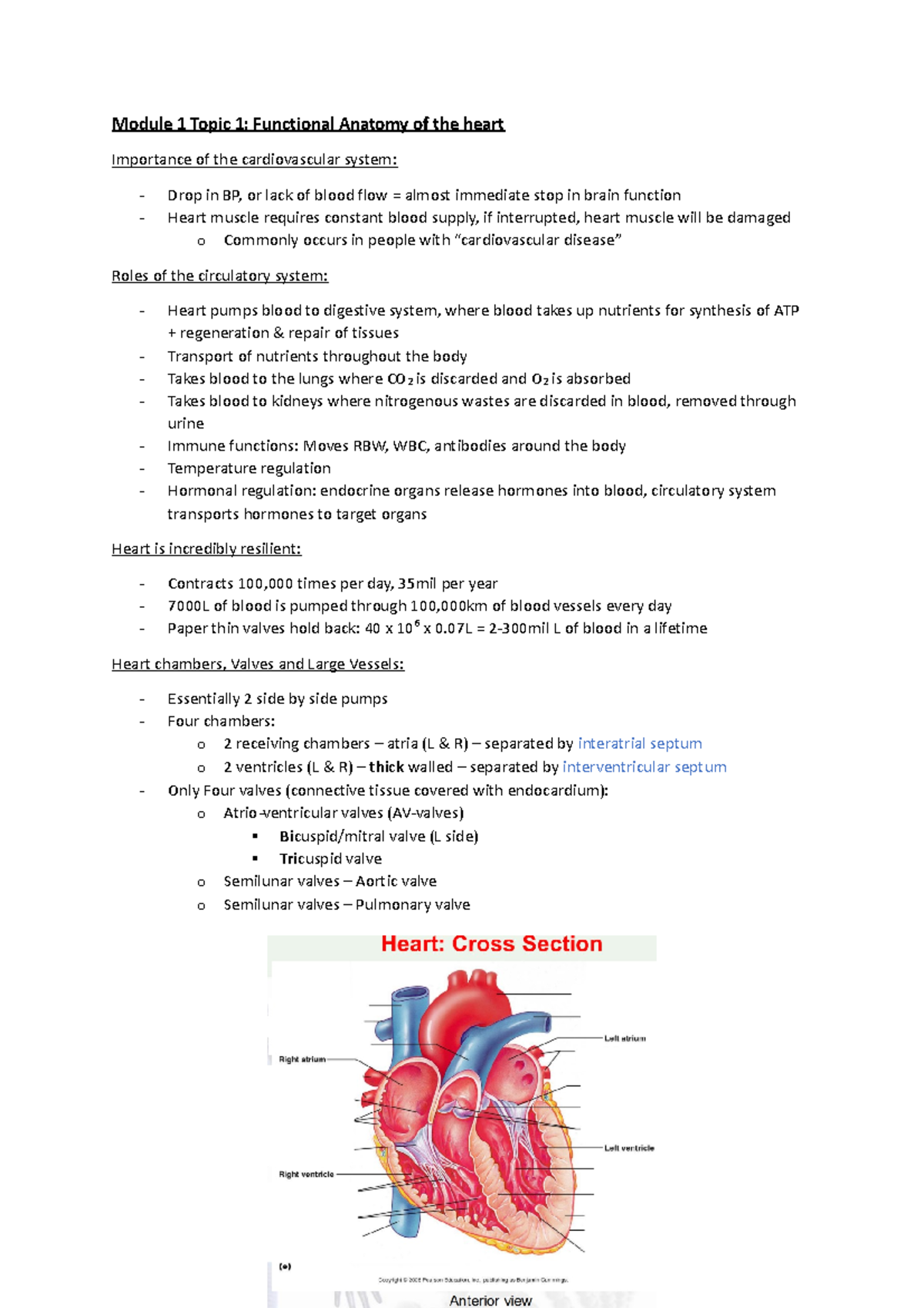 1 Cardiovascular system - Module 1 Topic 1: Functional Anatomy of the ...