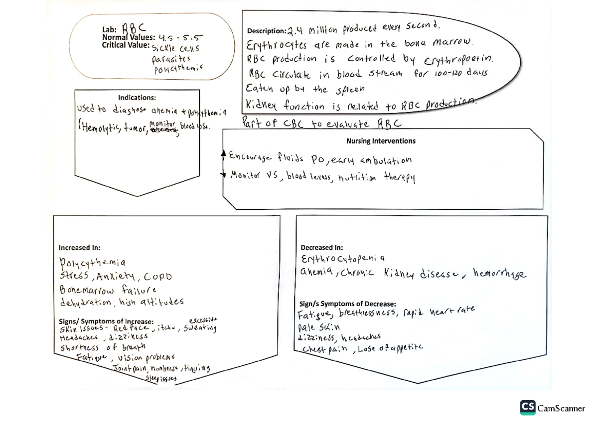 RBC - red blood cell lab - Lab: RBC Description: 2 Million produced ...