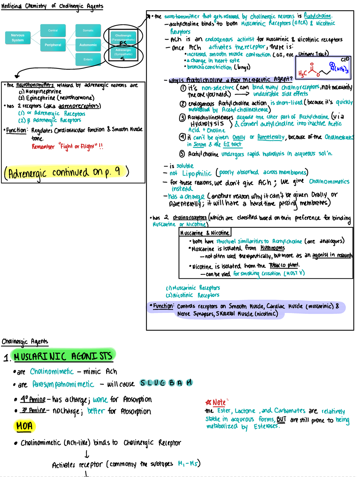 Midterm & Final Exam Review Sheet (mine) - PHM 411 - Studocu