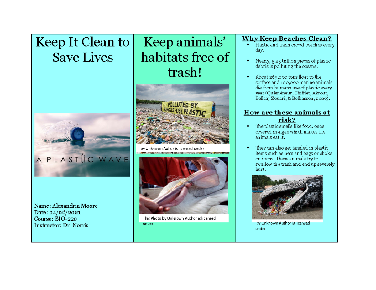 Restoration Pamphlet - Keep It Clean to Save Lives Name: Alexandria ...