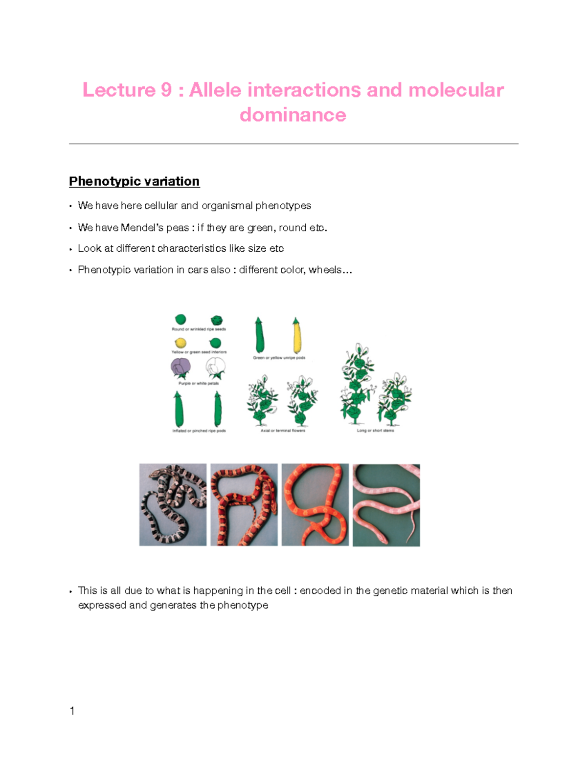 Lecture 9 - Genetics - Lecture 9 : Allele interactions and molecular ...