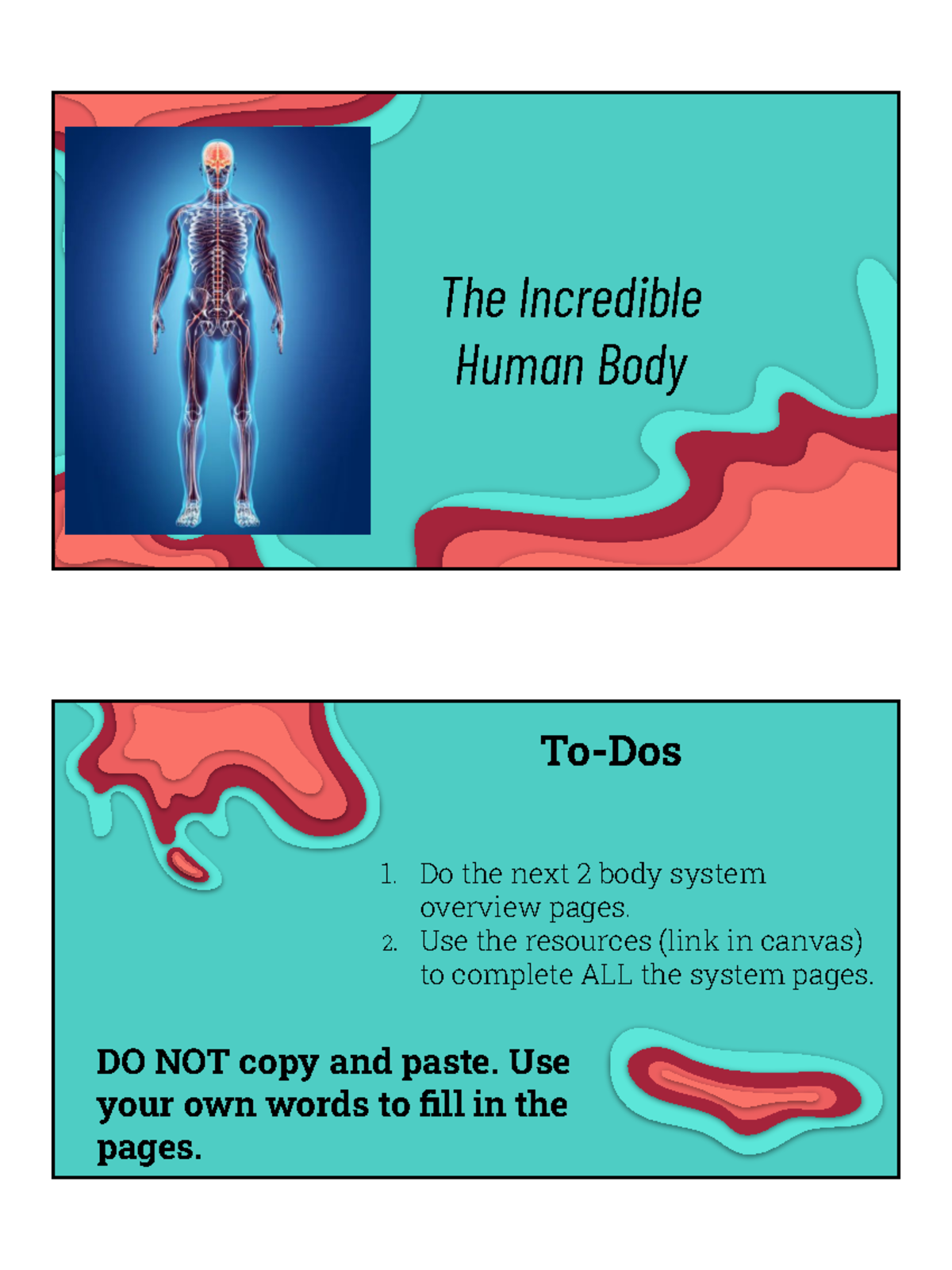 Human+Body+21 - Science work - The Incredible Human Body Do the next 2 ...