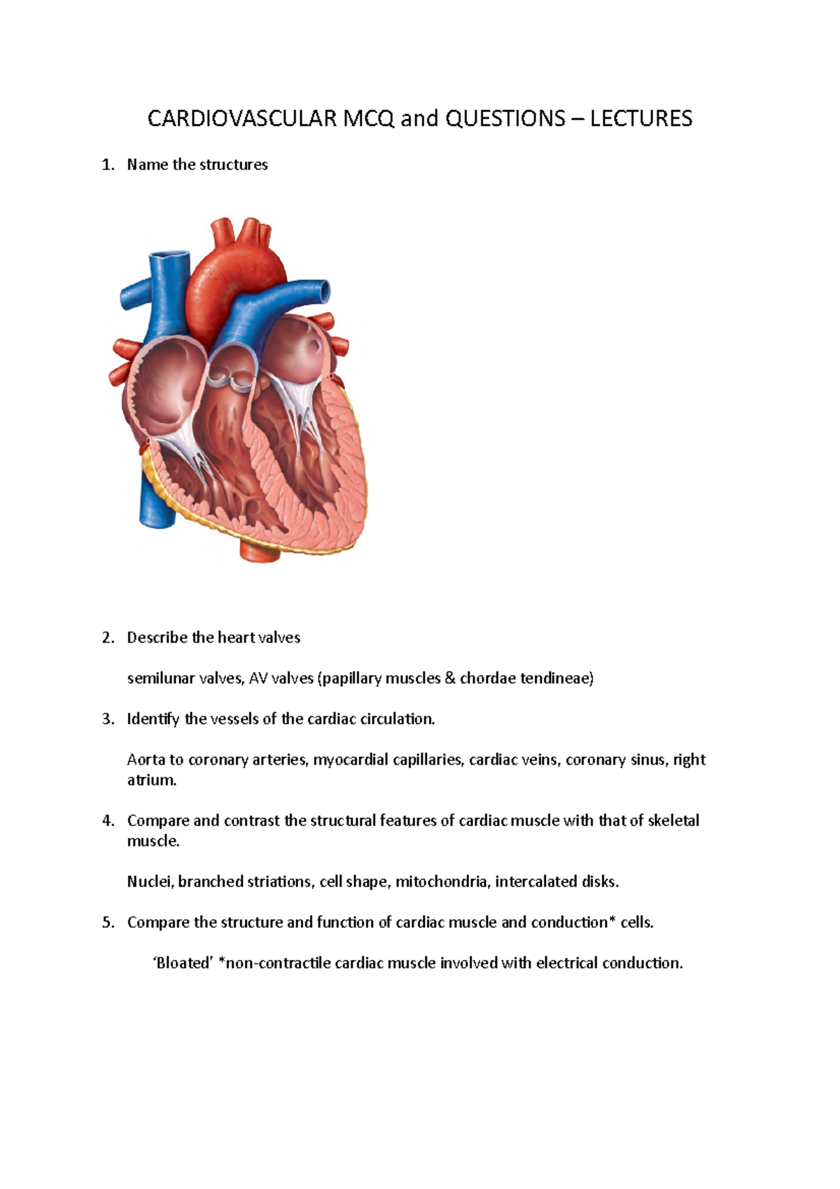 Cardiovascular MCQ and Questions - CARDIOVASCULAR MCQ and QUESTIONS ...