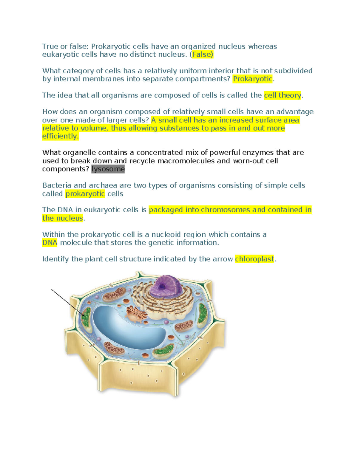 Assigment chapter 4 cells - True or false: Prokaryotic cells have an ...