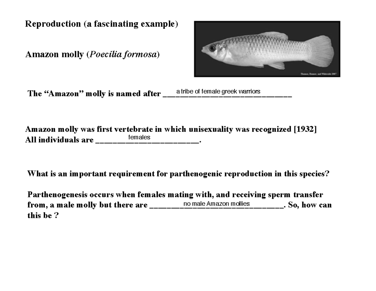 Module 2 (part B) - revised - Amazon molly (Poecilia formosa ...