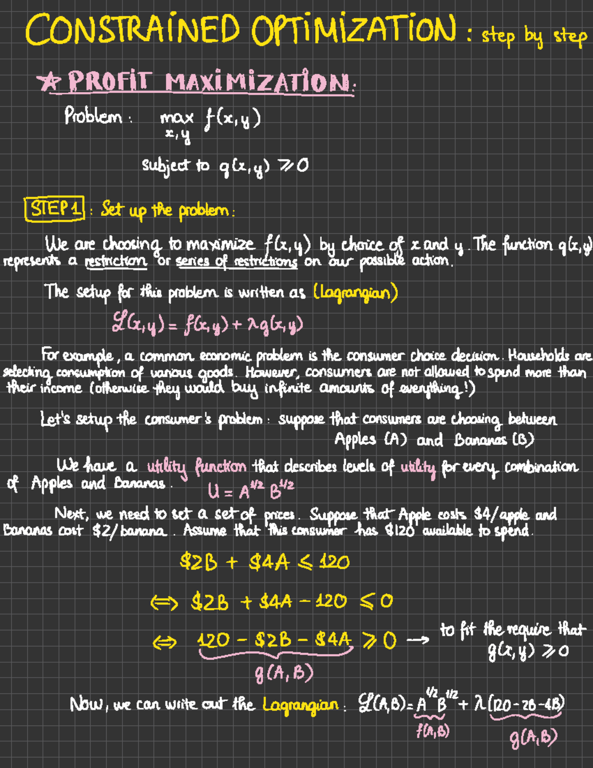 Lagrange Firm Maximization Example - Warning: Error during font loading: XMLHttpRequest is not ...