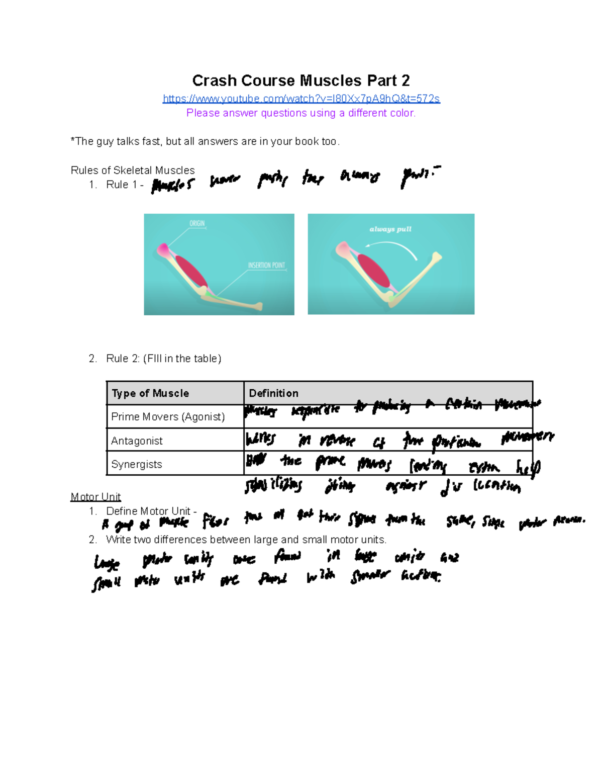 Jiaqian Xu - Crash Course - Muscles Part 2 - Crash Course Muscles Part ...