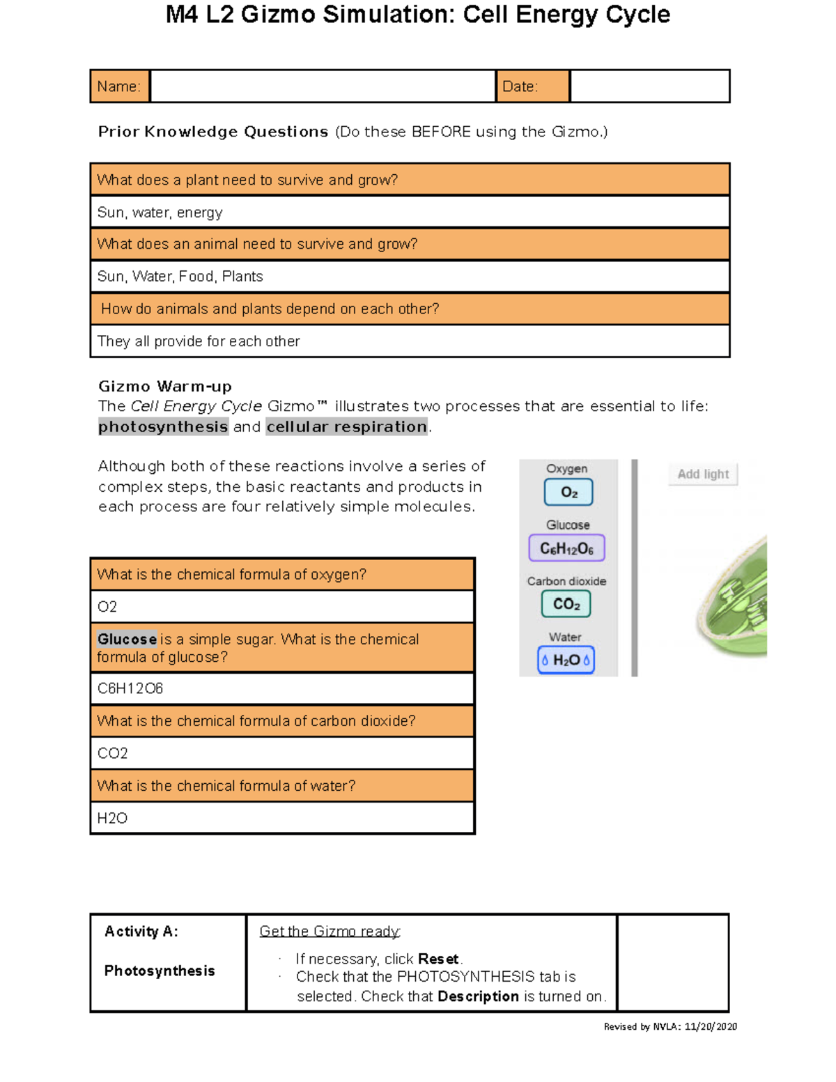 Copy of M4 L2 Gizmo Simulation Cell Energy Cycle - Name: Date: Prior ...