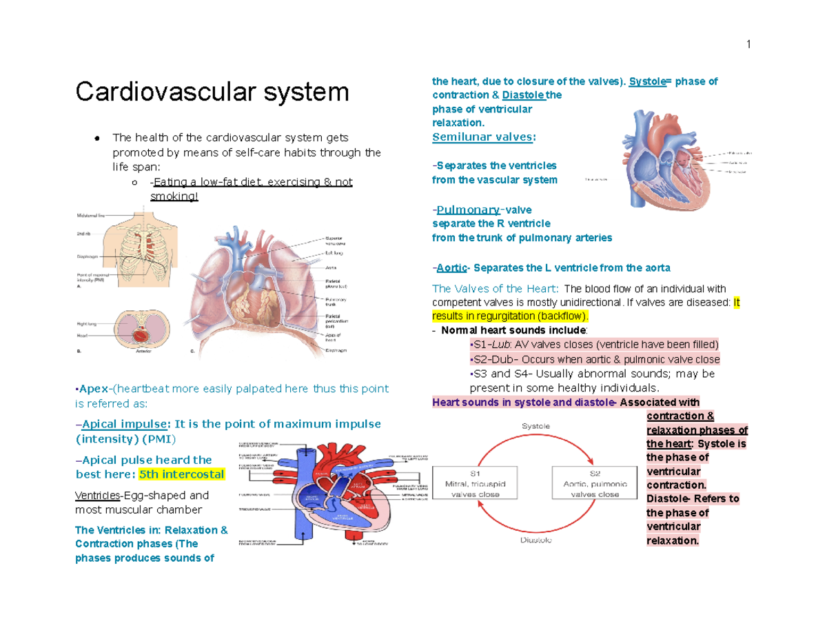 190 week 4 QUIZ 3 Cardiovascular system - Cardiovascular system The ...