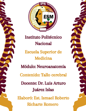 Cerebelo - kjnkj - C CEERREEBBEELLOO L Luucciiaannaa DD ́ ...