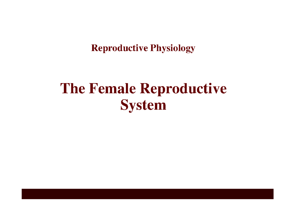 2-Female Reproductive - Reproductive Physiology The Female Reproductive System Female ...