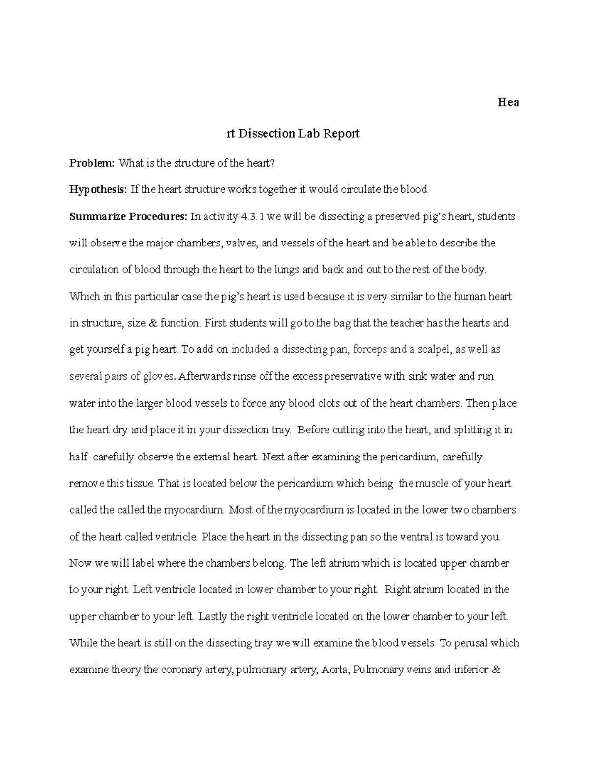 Copy Of Heart Dissection Lab Report Hea Rt Dissection Lab Report 