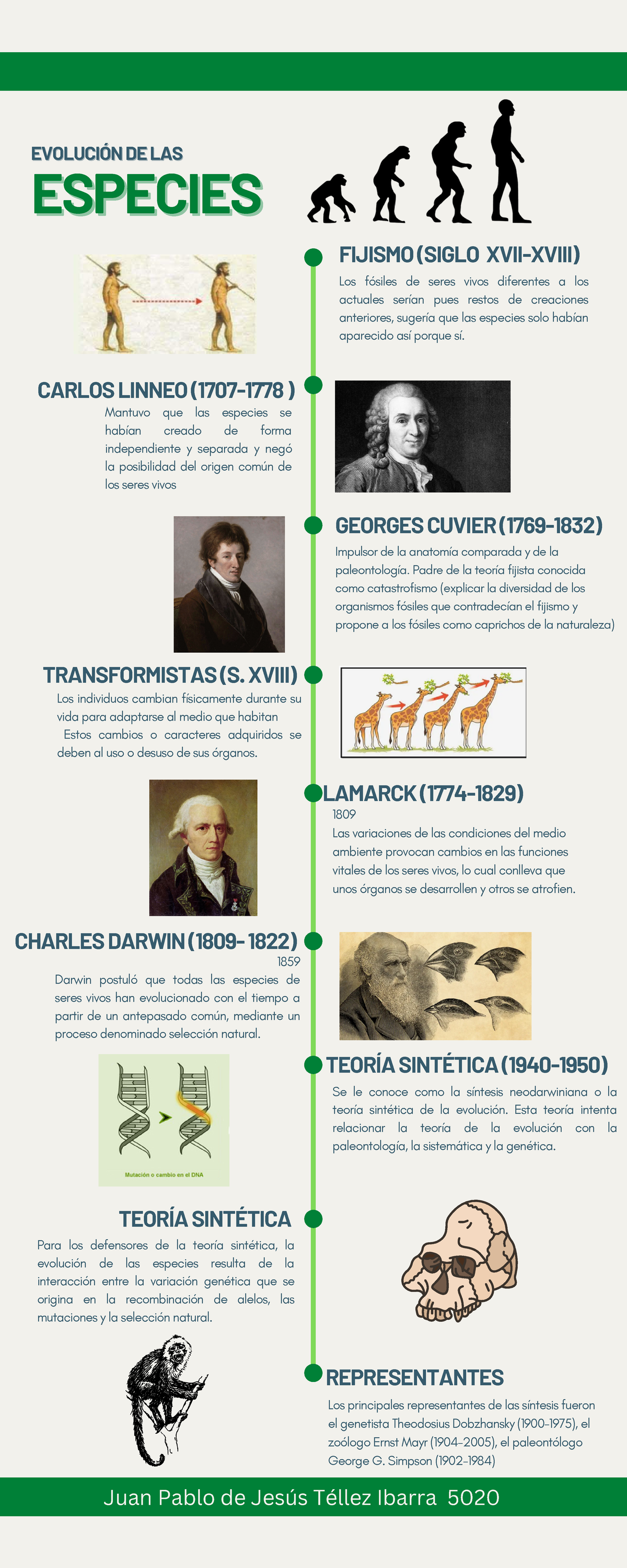 Evolución de las especies - FIJISMO (SIGLO XVII-XVIII) GEORGES CUVIER ...