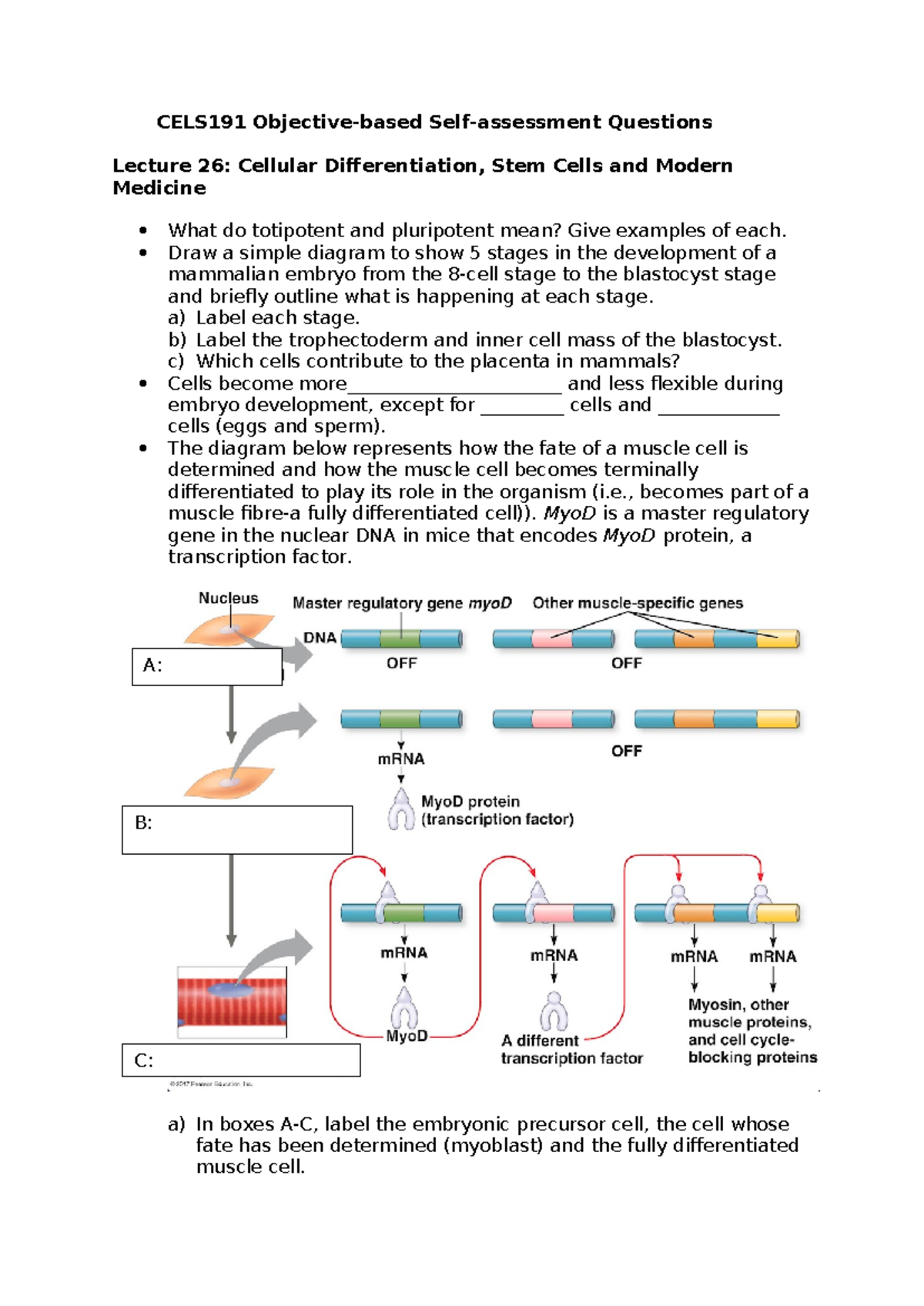 Lecture 26 CELS191 Objective - CELS191 Objective-based Self-assessment Questions Lecture 26 ...