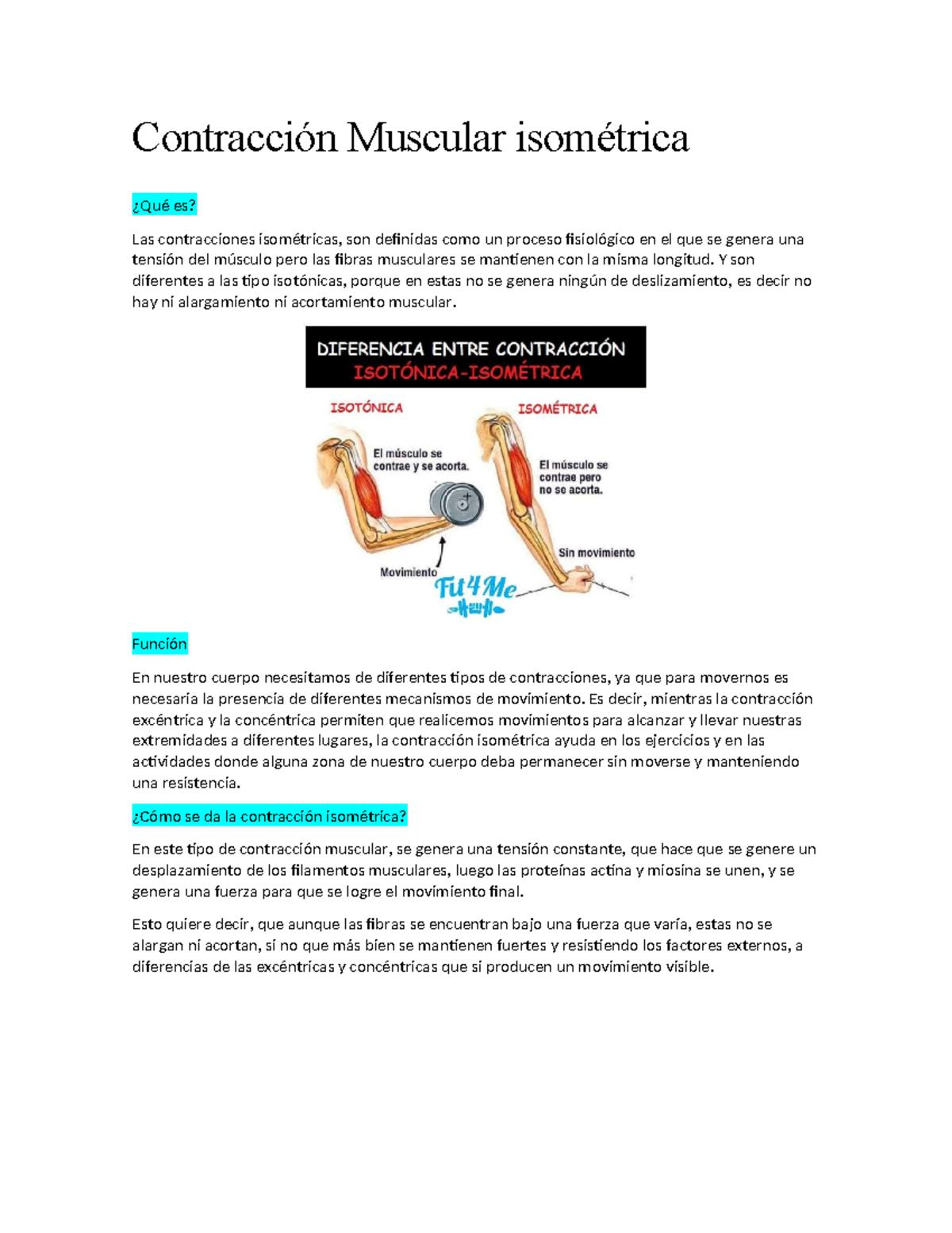 Contracción Muscular isométrica - Contracción Muscular isométrica ¿Qué ...