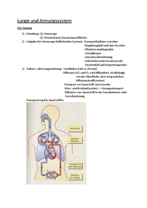 Zusammenfassung Sinnesorgane - Warning: TT: undefined function: 32 Warning: TT: undefined ...