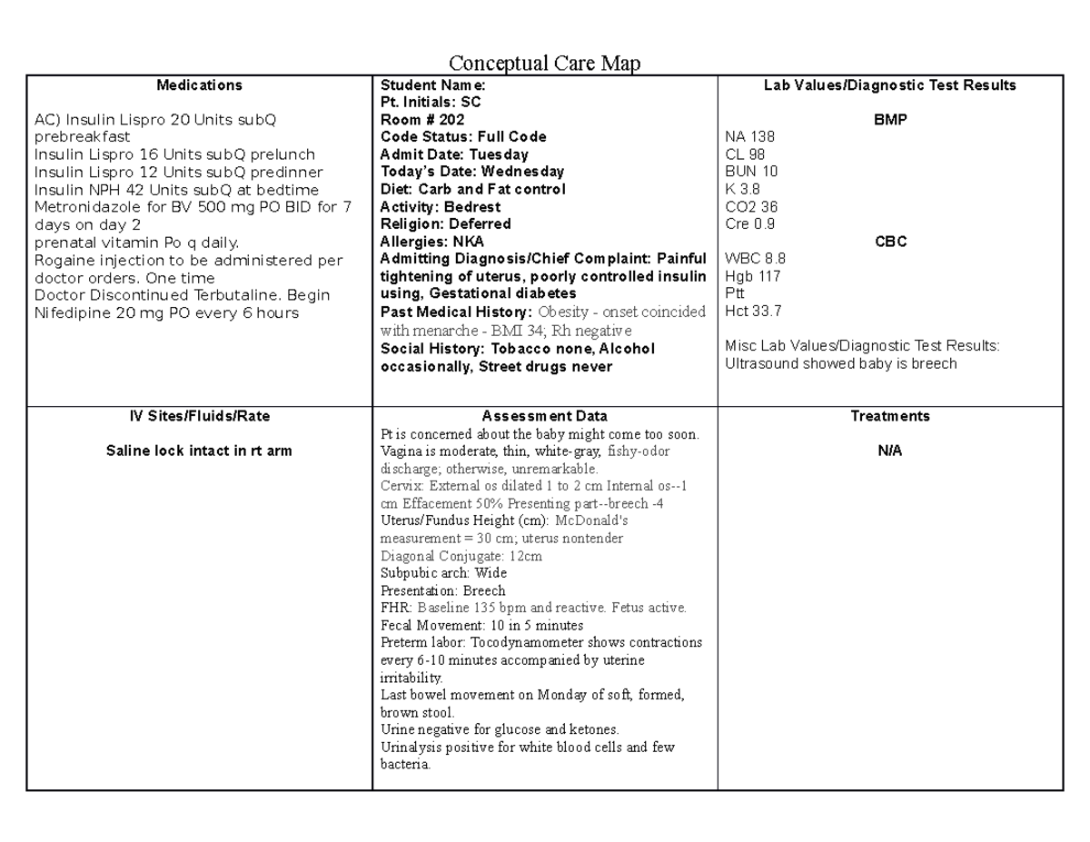 Maternal Health Clinical 3 Conceptual Care Map - Conceptual Care Map ...