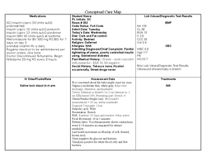 N325-1 - Utilizing the Child Development and Health Promotion template ...