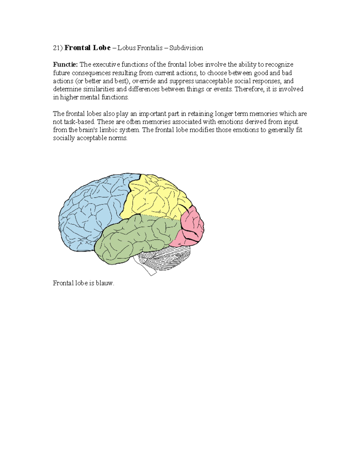 Samenvattingen hersenstructuren 21-30 - 21) Frontal Lobe – Lobus ...