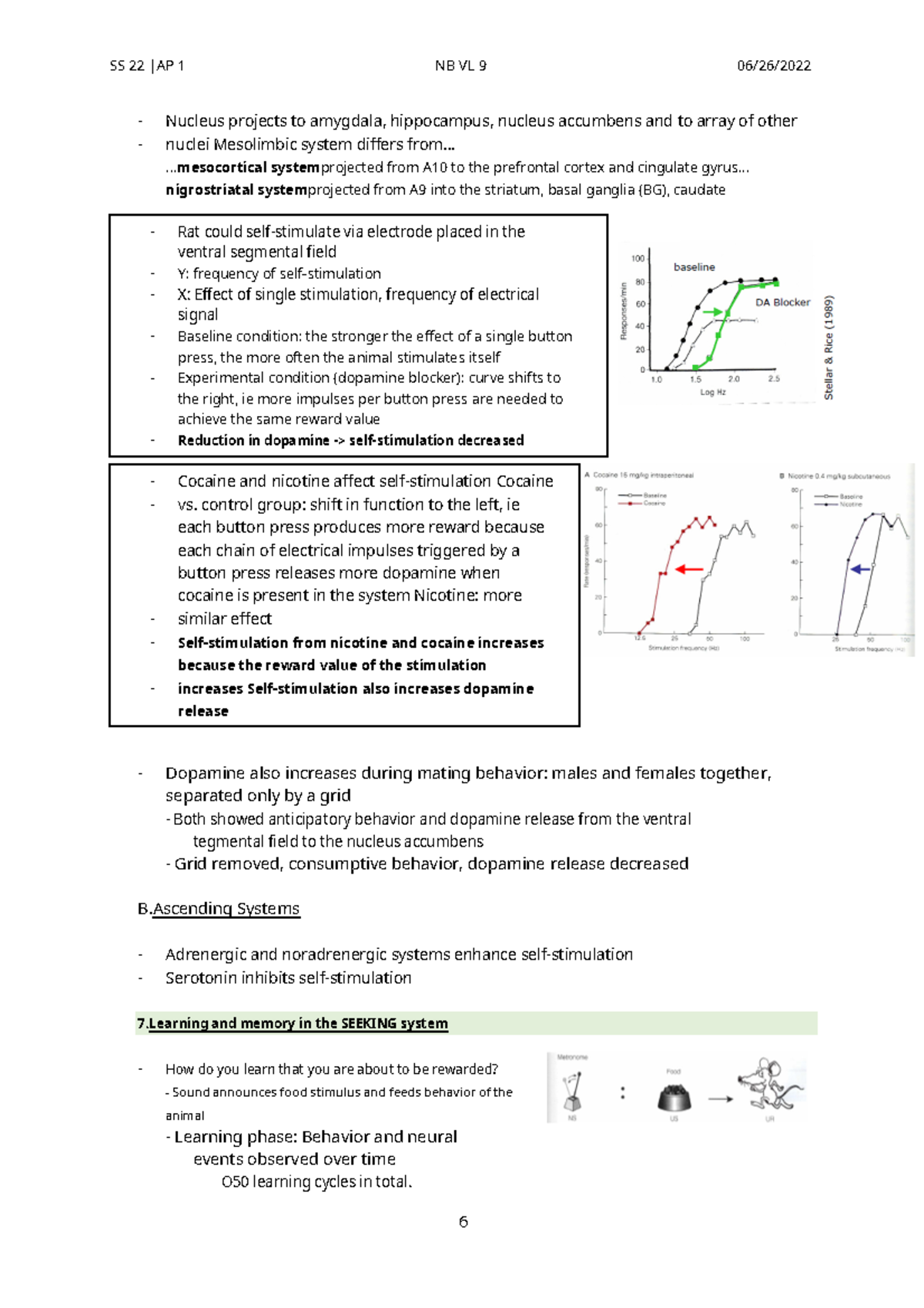 Summary 9.3 - Learning and memory in the seeking system - SS 22 |AP 1 ...