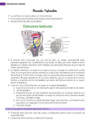 Clase 2 Pubertad Reproducción Animal - Pubertad en Animales Domésticos ...