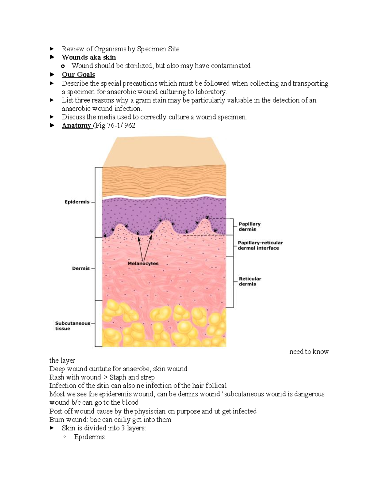 Skin- Wound - Clinical Microbiology - Review of Organisms by Specimen ...