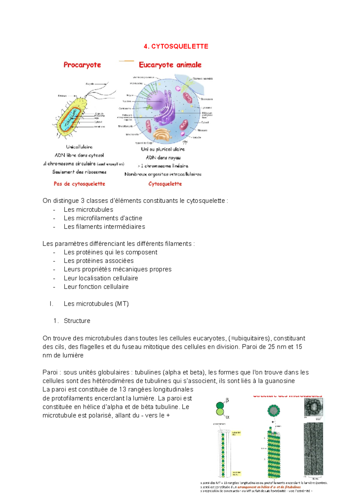 4. Cytosquelette - 4. CYTOSQUELETTE On distingue 3 classes d’éléments ...