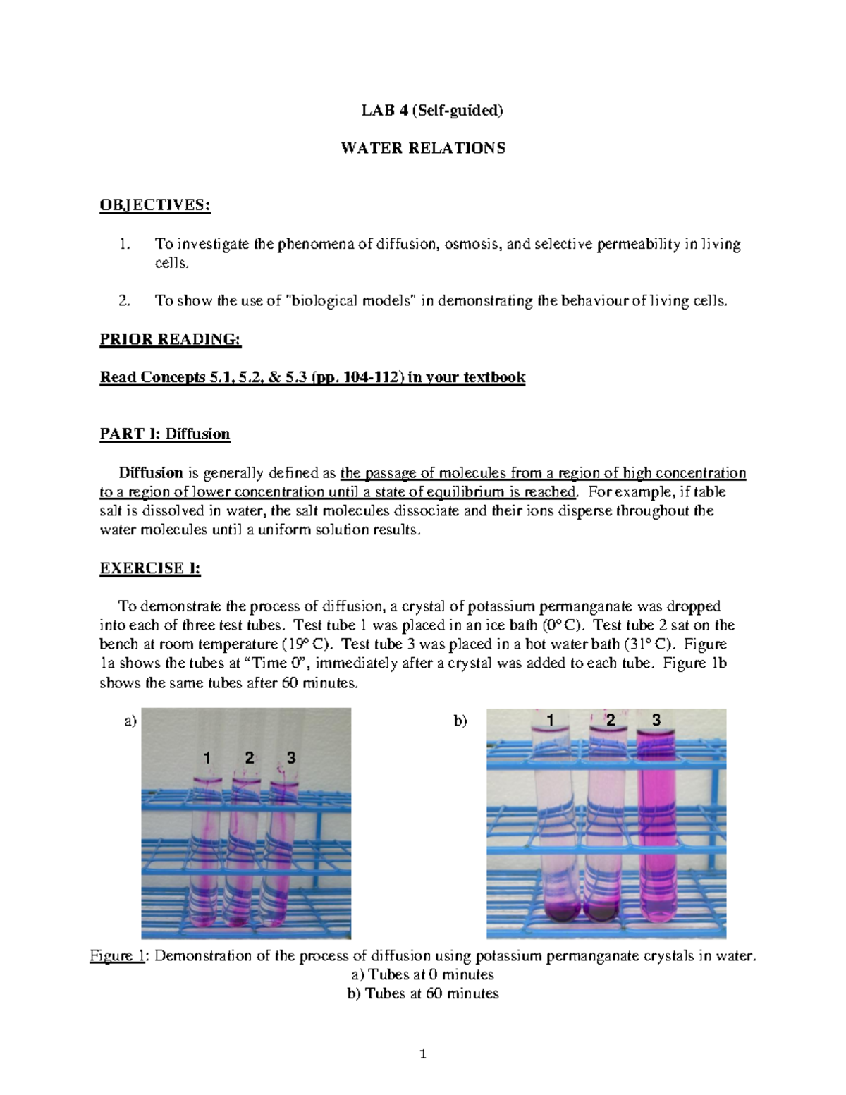 1115 lab manual Lab 4 Water Relations Fall 2020 - Figure 1 ...