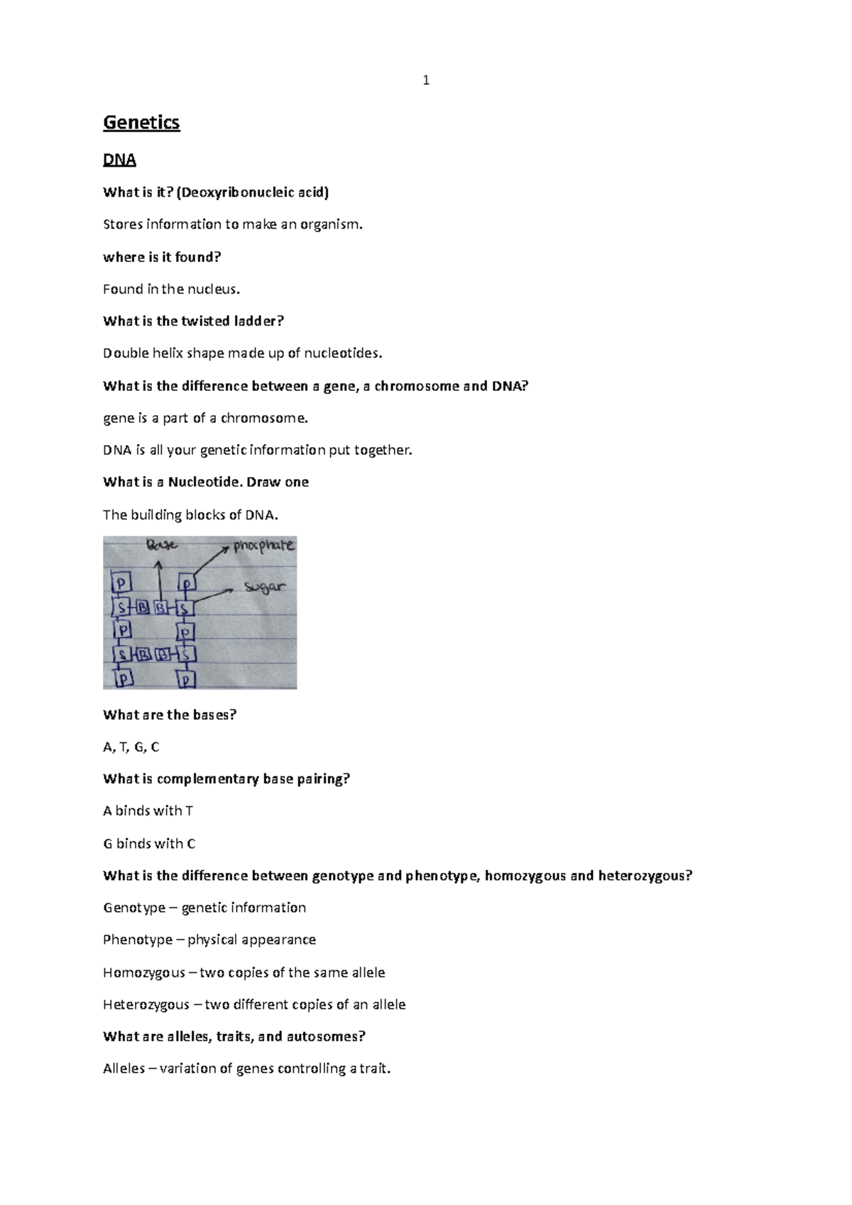 Iife science exam revision - Genetics DNA What is it? (Deoxyribonucleic ...