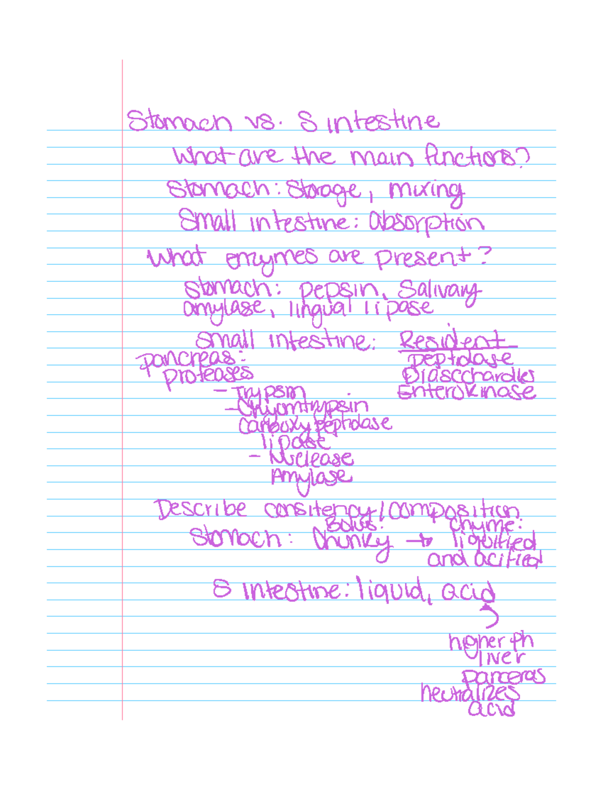 Digestive System Part 2 - stomach vs S intestine what are the main ...