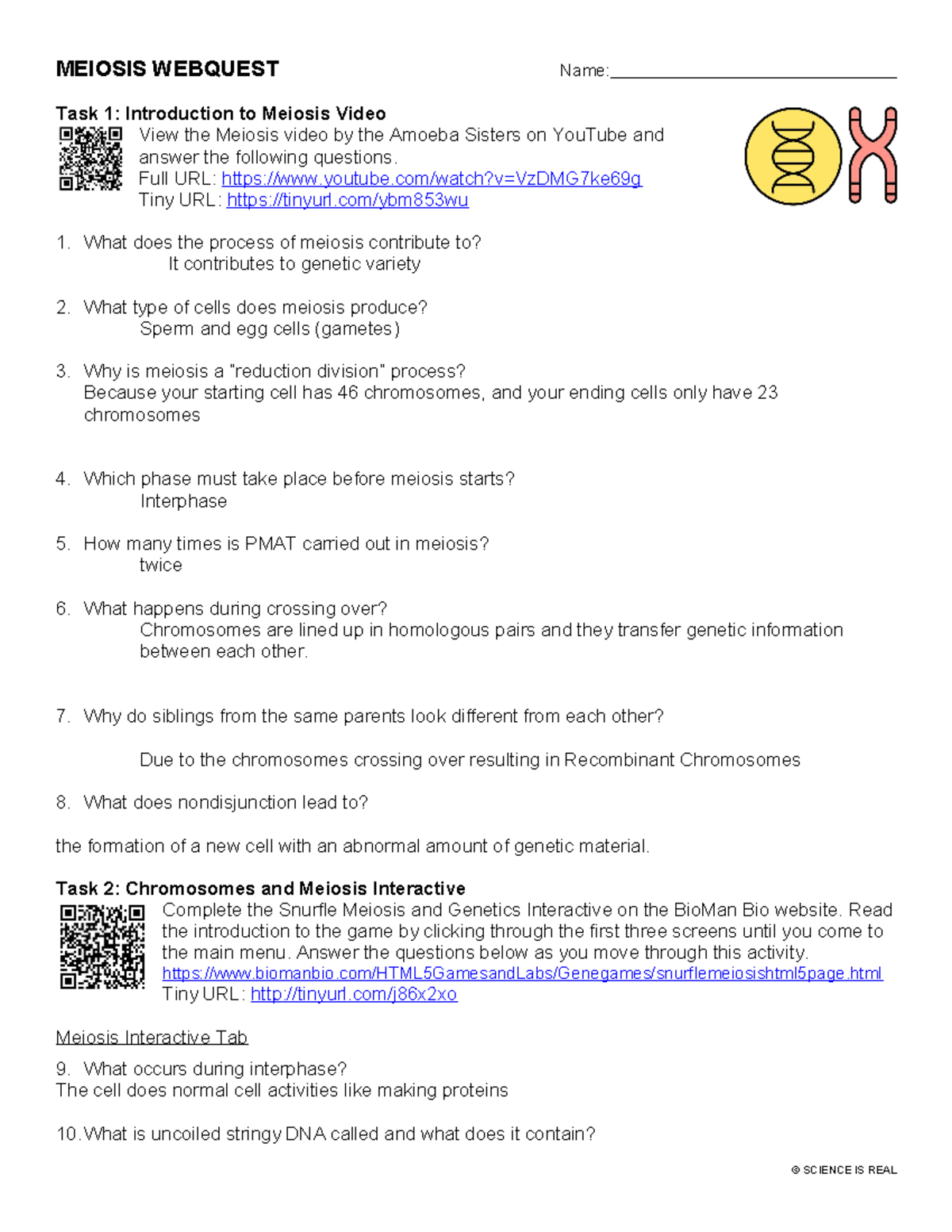 Meiosis Webquest 2024 - Honors - MEIOSIS WEBQUEST Name: Task 1 ...