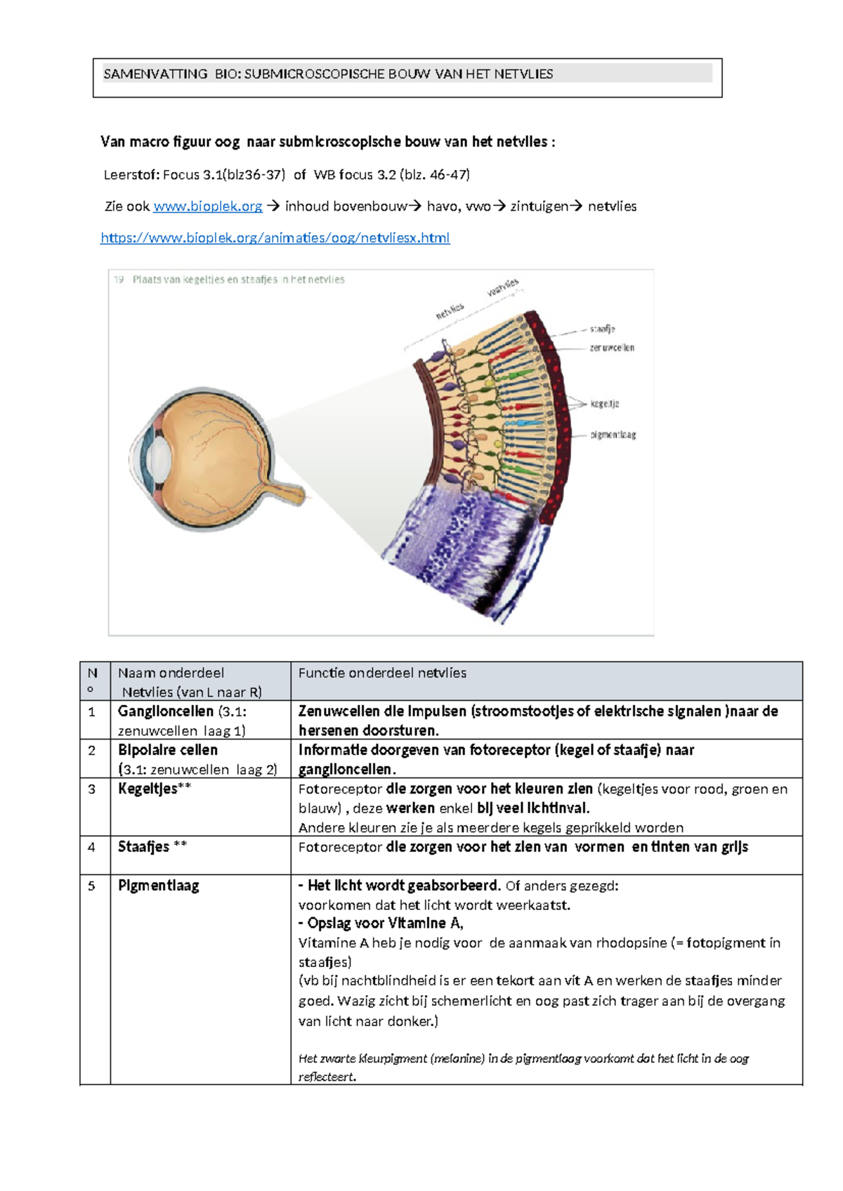 2024-2025 samenvatting bouw van het netvlies - Van macro figuur oog naar submicroscopische bouw ...