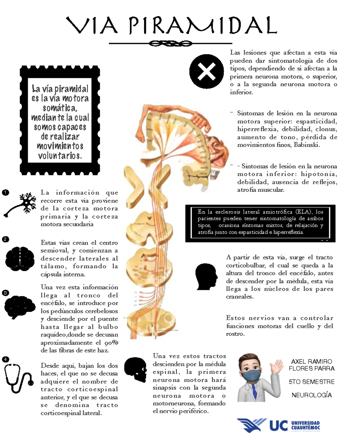VIA Piramidal completa por partes en orden - VIA PIRAMIDAL La vía ...