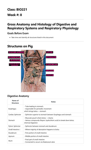 Internet Scavenger Hunt - Internet Scavenger Hunt RUBRIC FOR INTERNET ...
