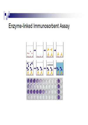 Chromosomal DNA extraction from bacteria - Lab Four :. : Chromosomal ...