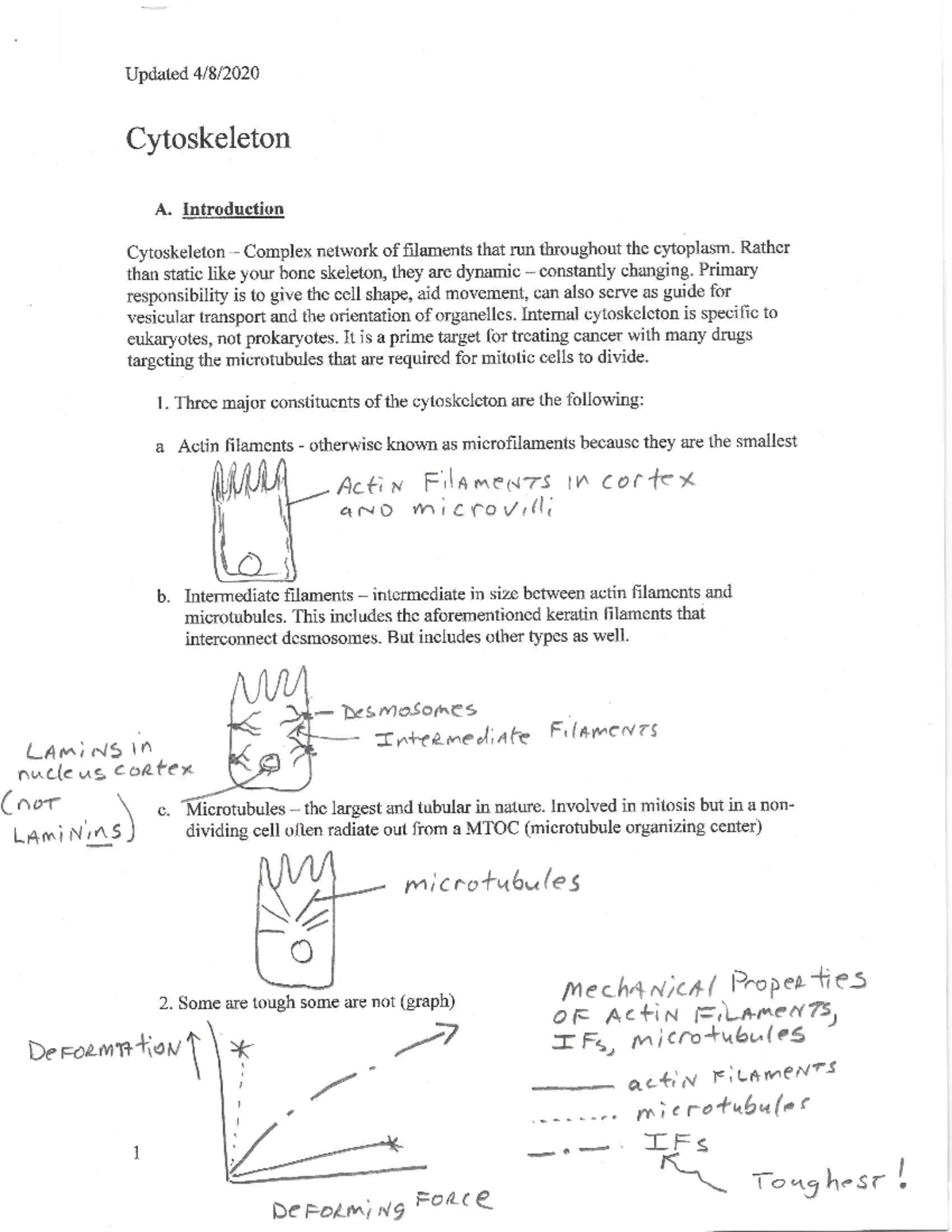 Lecture Notes - Cytoskeleton - Biol 311 - Studocu