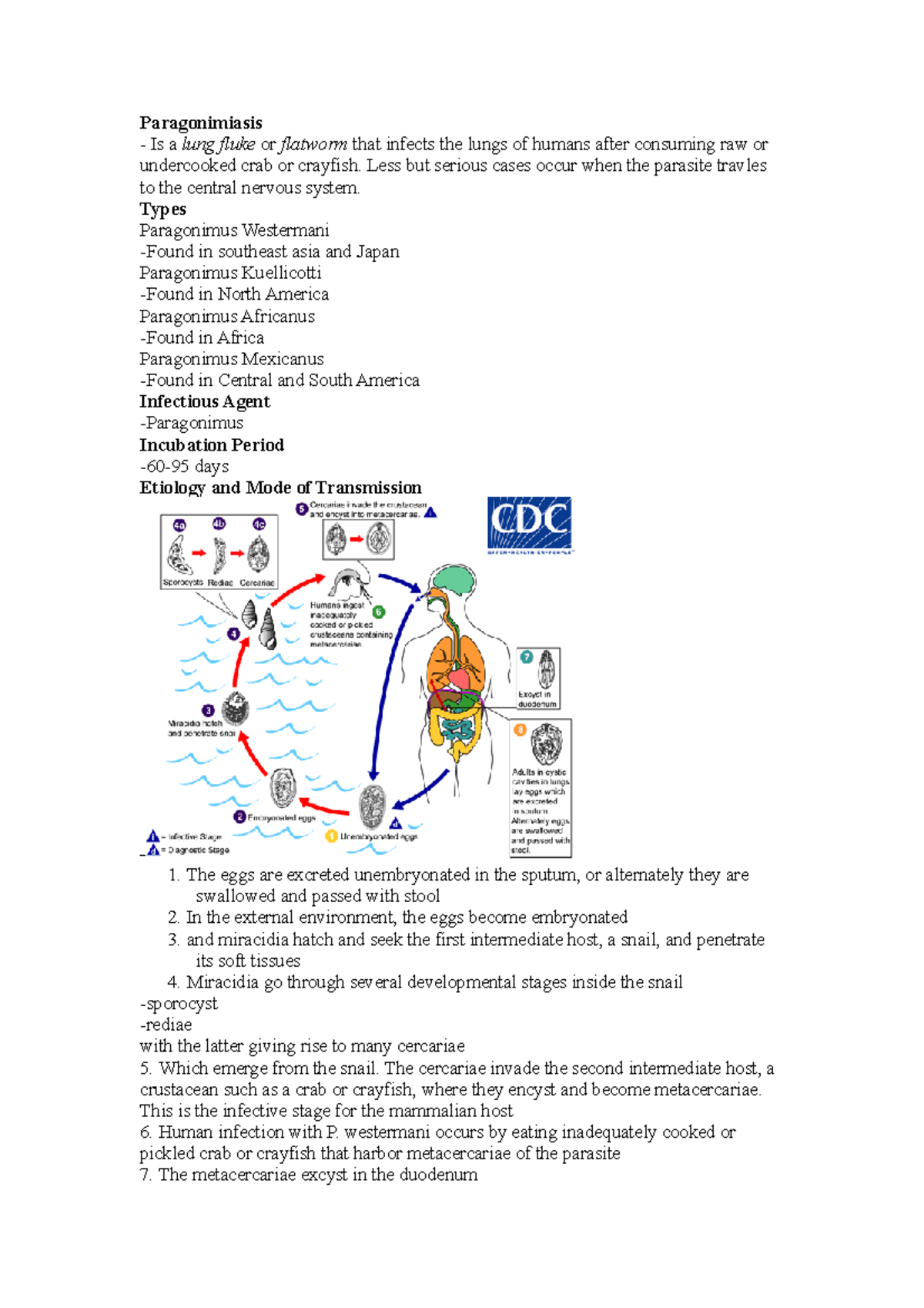 Cdcwrittenreport - CDC report - Paragonimiasis Is a lung fluke or ...