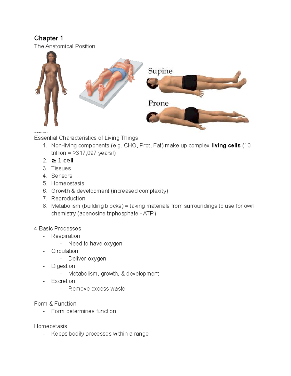 CH1 Notes - Chapter 1 The Anatomical Position Essential Characteristics ...