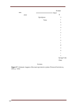 Lab 10 - Cell Structure and Function-1 - Lab 10 – Cell Structure and ...