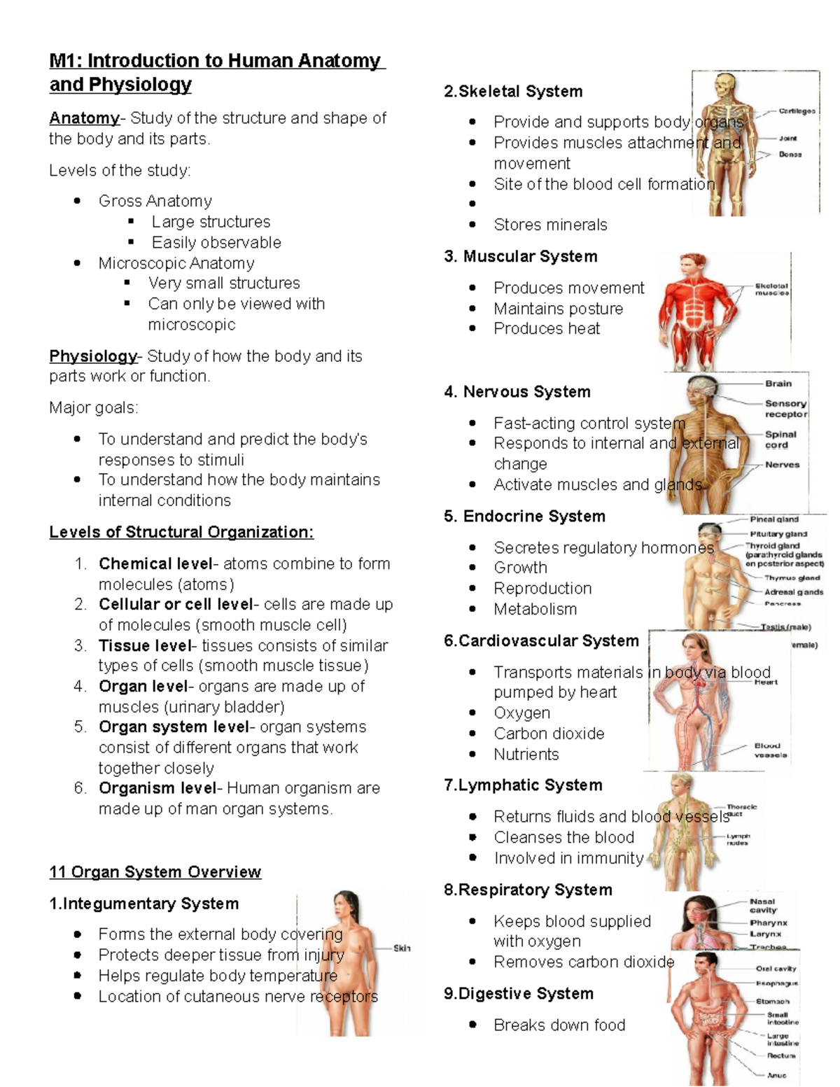 Anaphy UNIT TEST 1 - M1: Introduction to Human Anatomy and Physiology ...