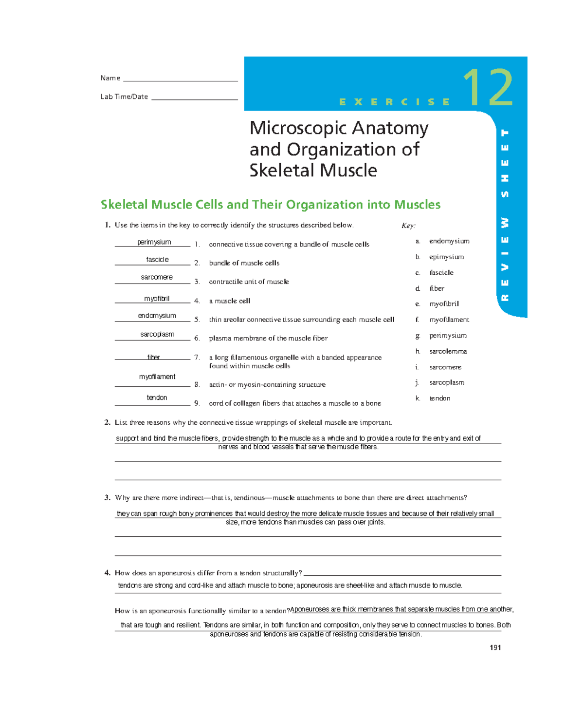 Ex 12 - Lab assignment - 191 Microscopic Anatomy and Organization of Skeletal Muscle E X E R C I ...
