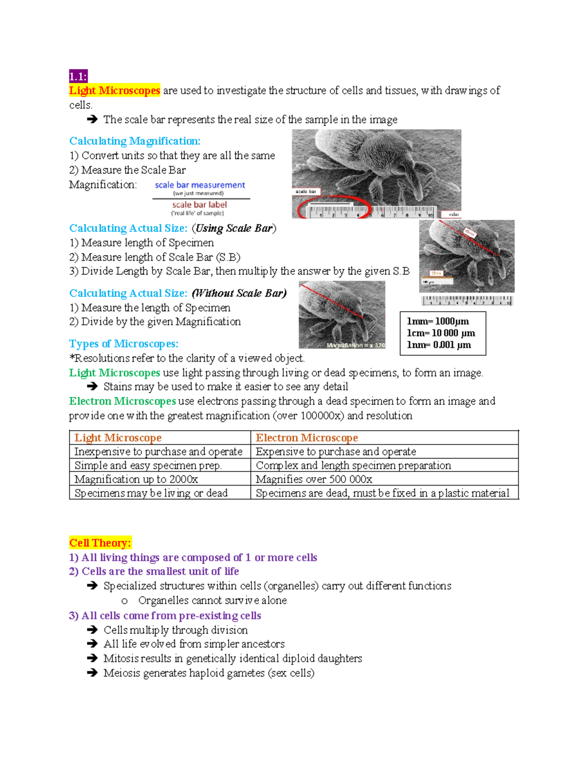 Section 1 - 1: Light Microscopes are used to investigate the structure ...