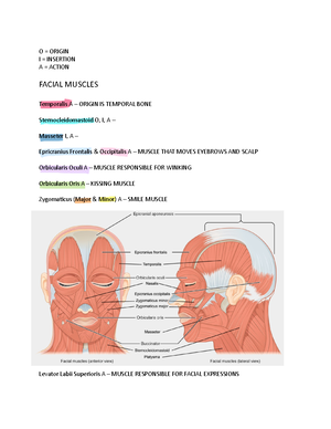 Lab manual planes and positions - Name: Date: Planes and Positions Lab ...