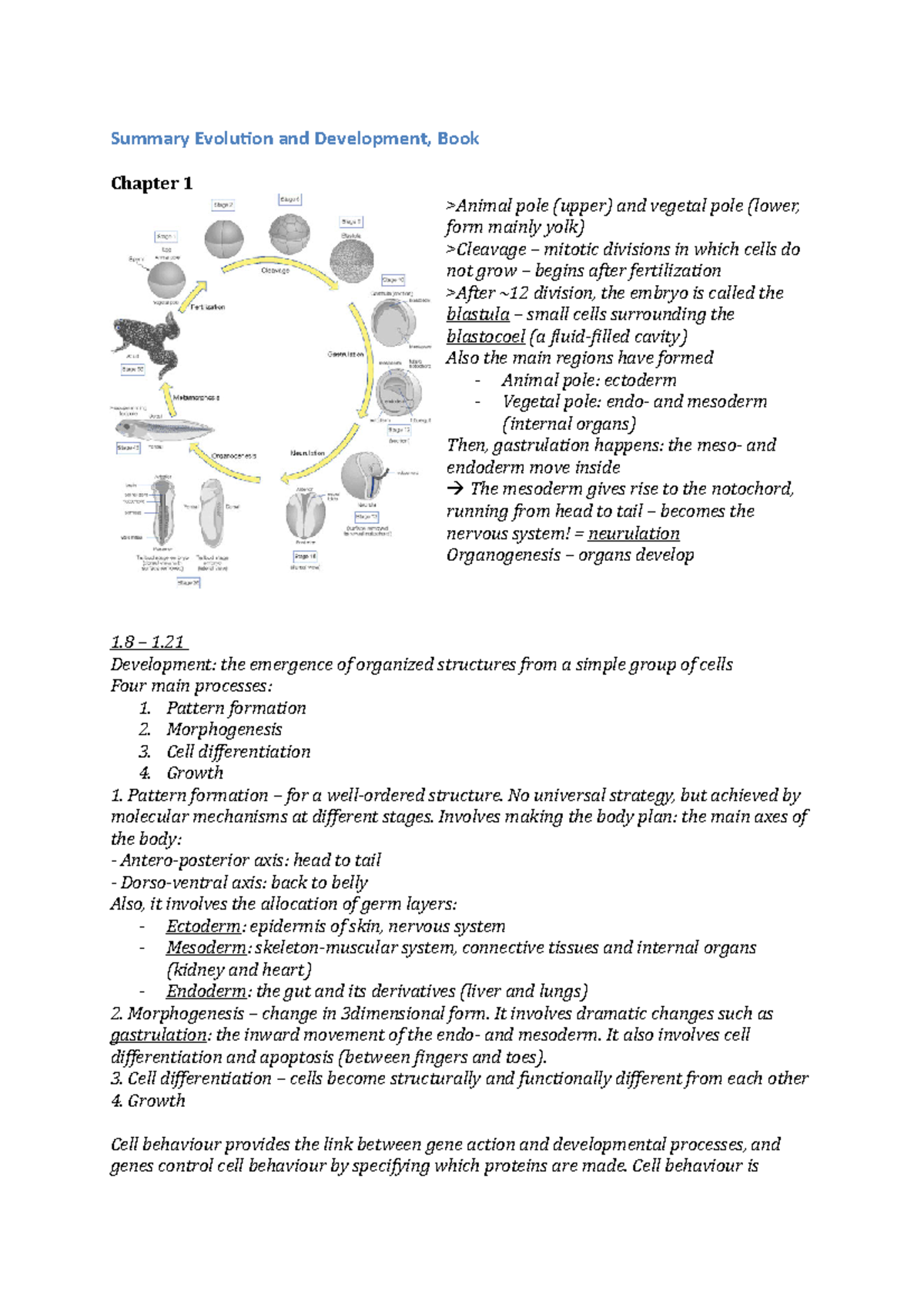 Summary Evolution and Development - Development: the emergence of ...