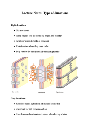 Cytosolic vs Exoplasmic Notes - Cytosolic vs Exoplasmic Notes Membranes ...